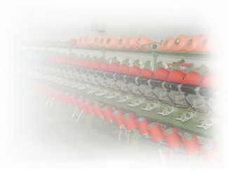COMPANY OVERVIEW – Sara Textiles
